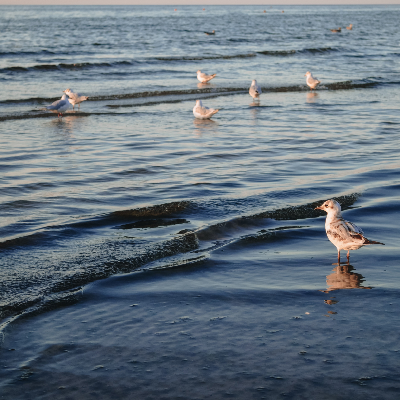 Jurmala travel guide – Neighborhood