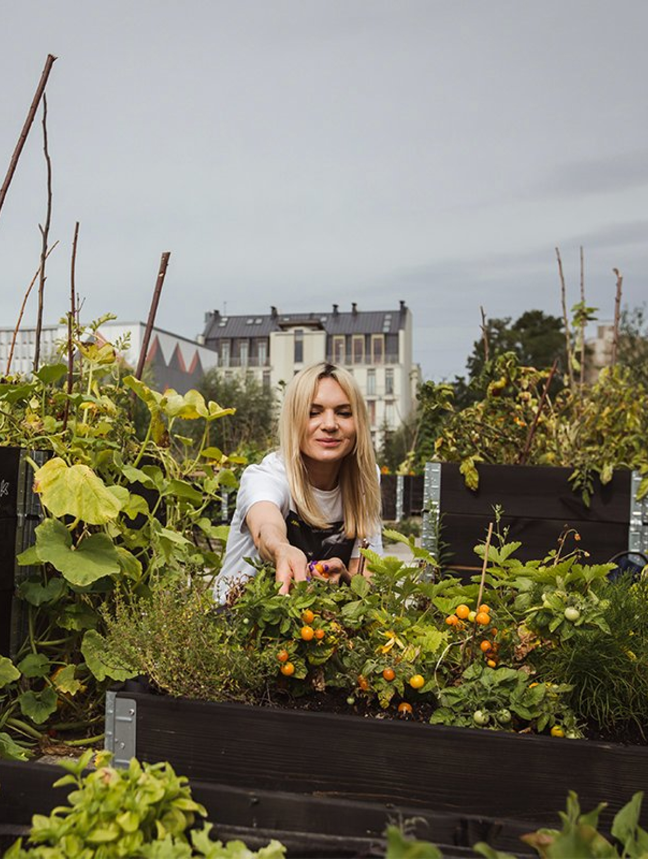 Sporta Pils Dārzi: Pilsētu dārzu pagātne un tagadne – Neighborhood