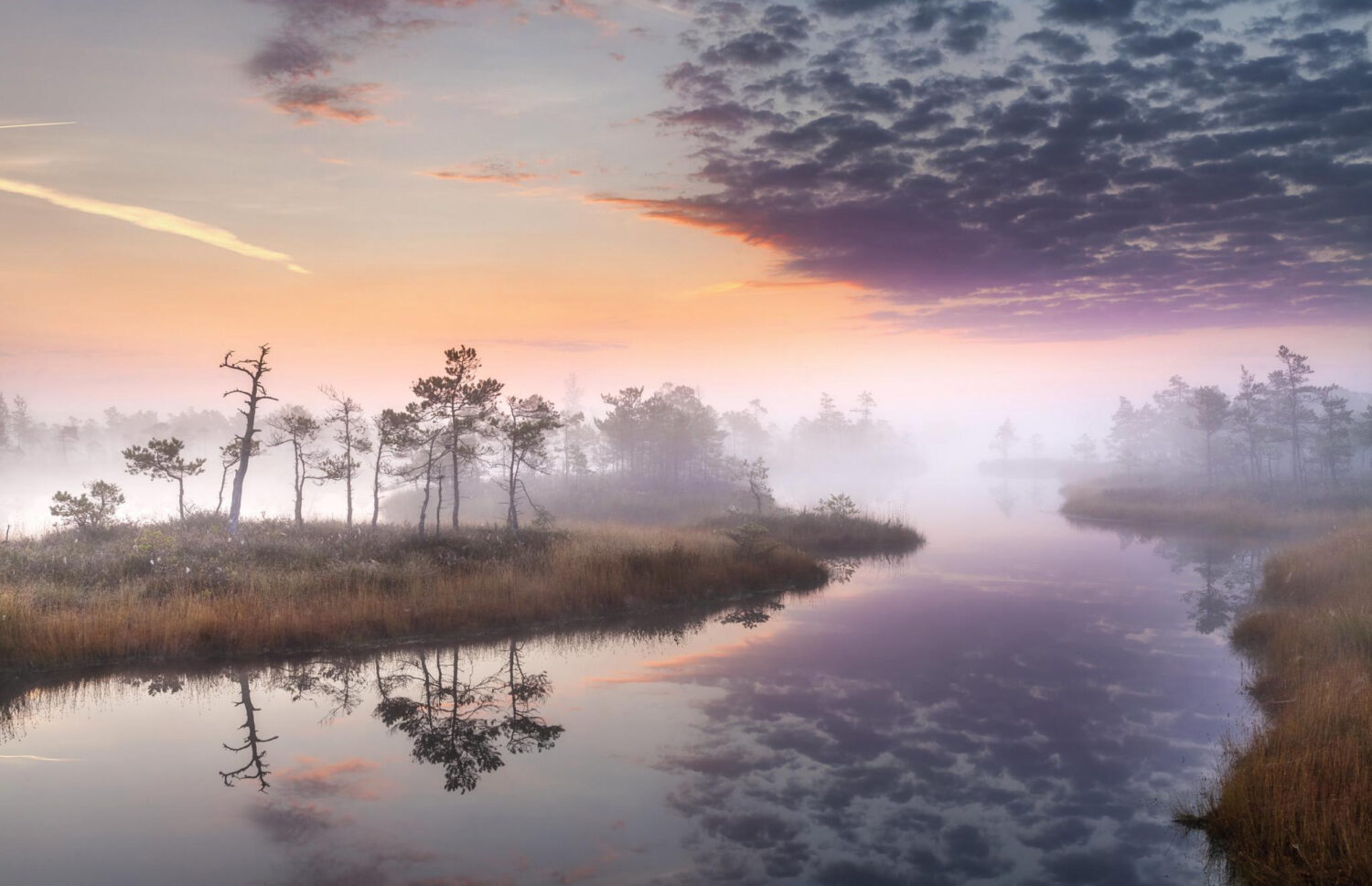 4 national parks in Latvia: what to see and what to do – Neighborhood
