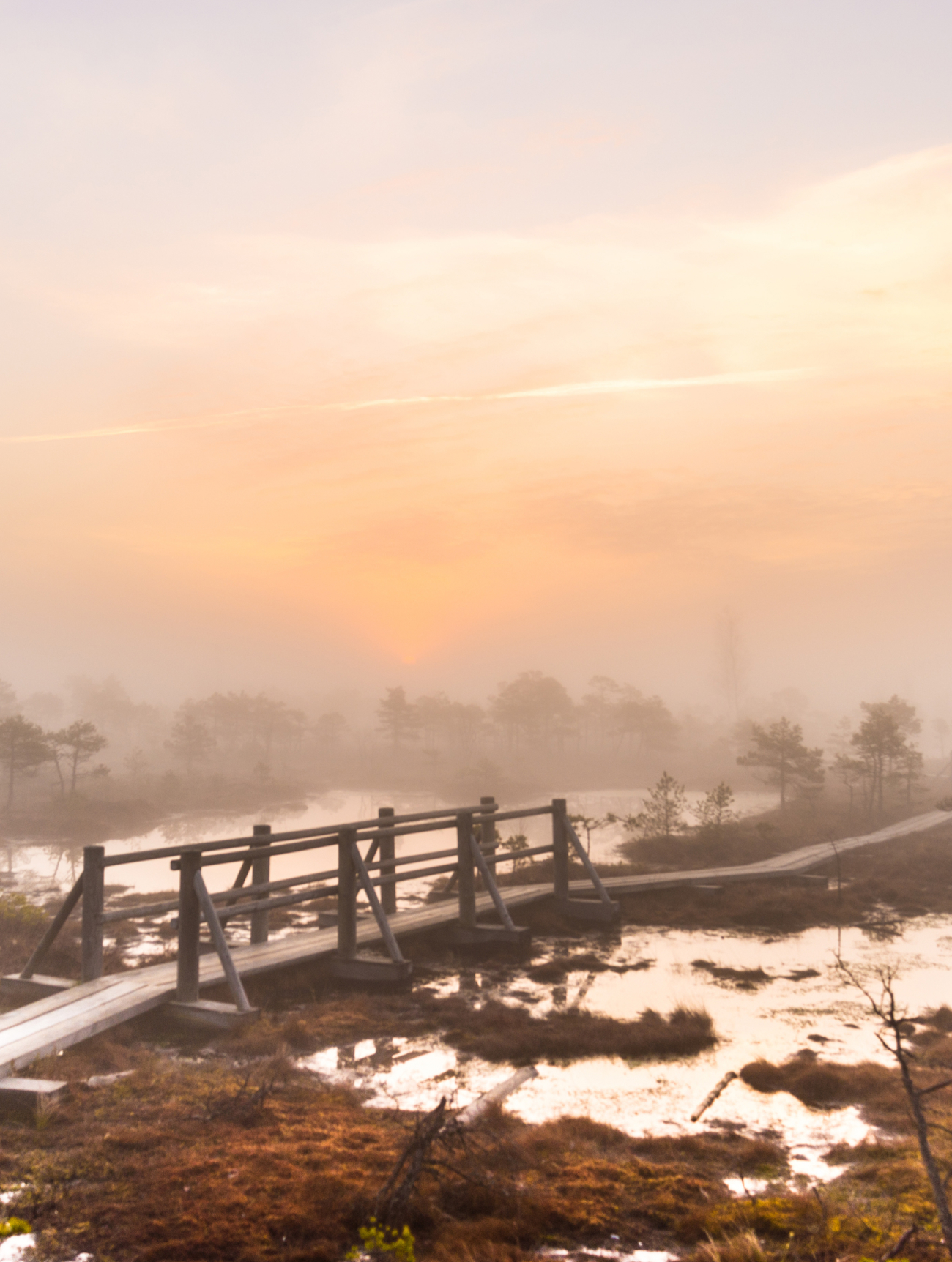 4 national parks in Latvia: what to see and what to do – Neighborhood
