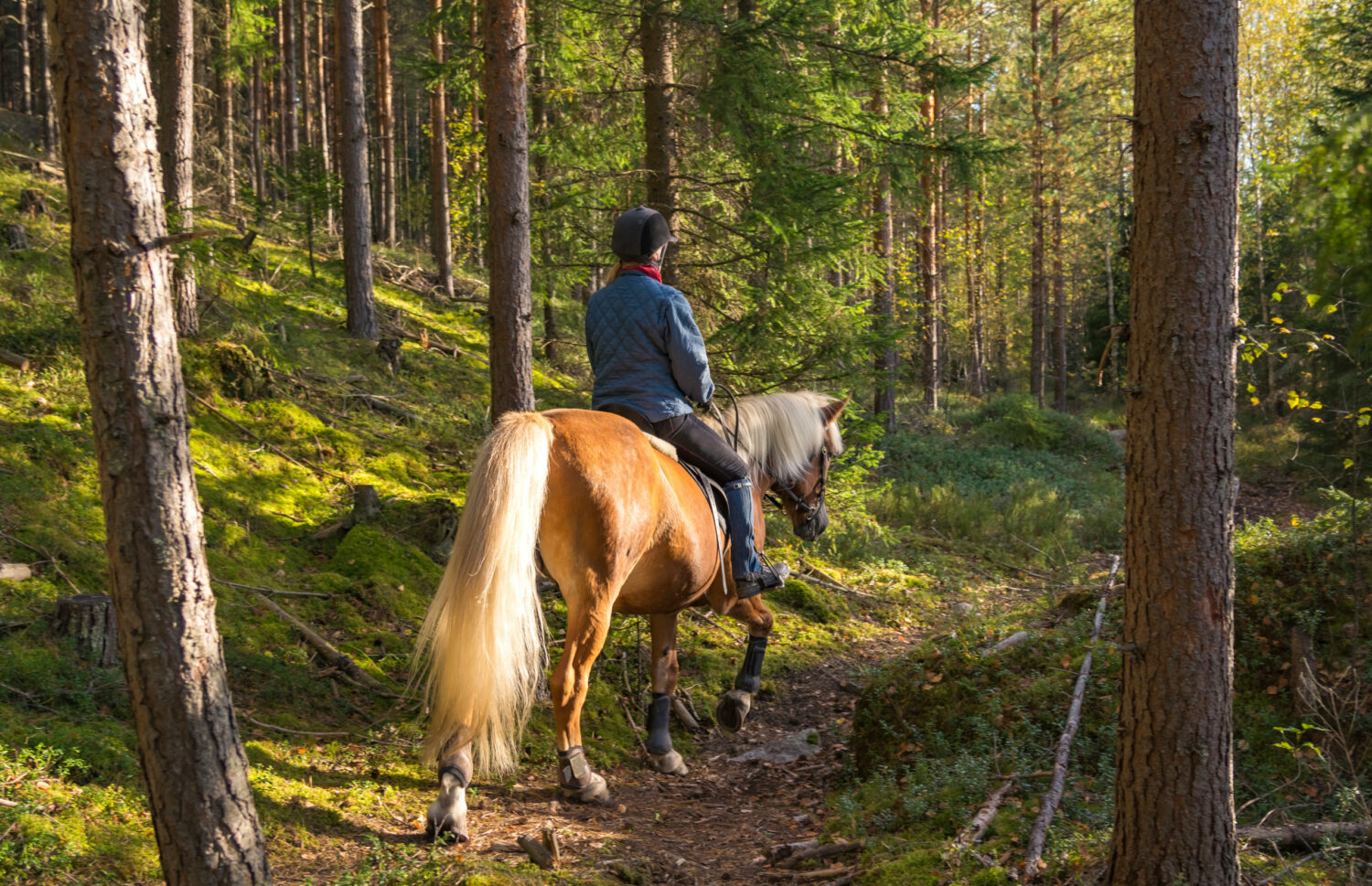 Extreme adventures and outdoor activities in Latvia: 10 places worth ...