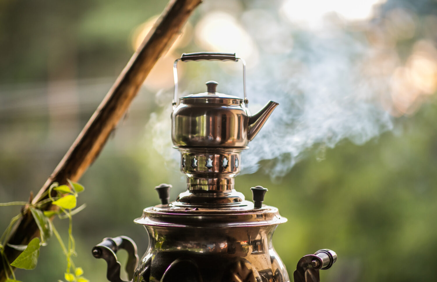 Сomplete guide to tea: where to taste and buy it in Riga – Neighborhood