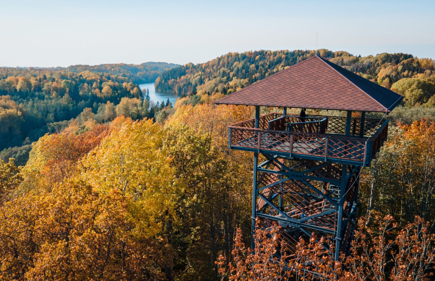 Among the trees: 15 most unusual observation towers in Baltics ...