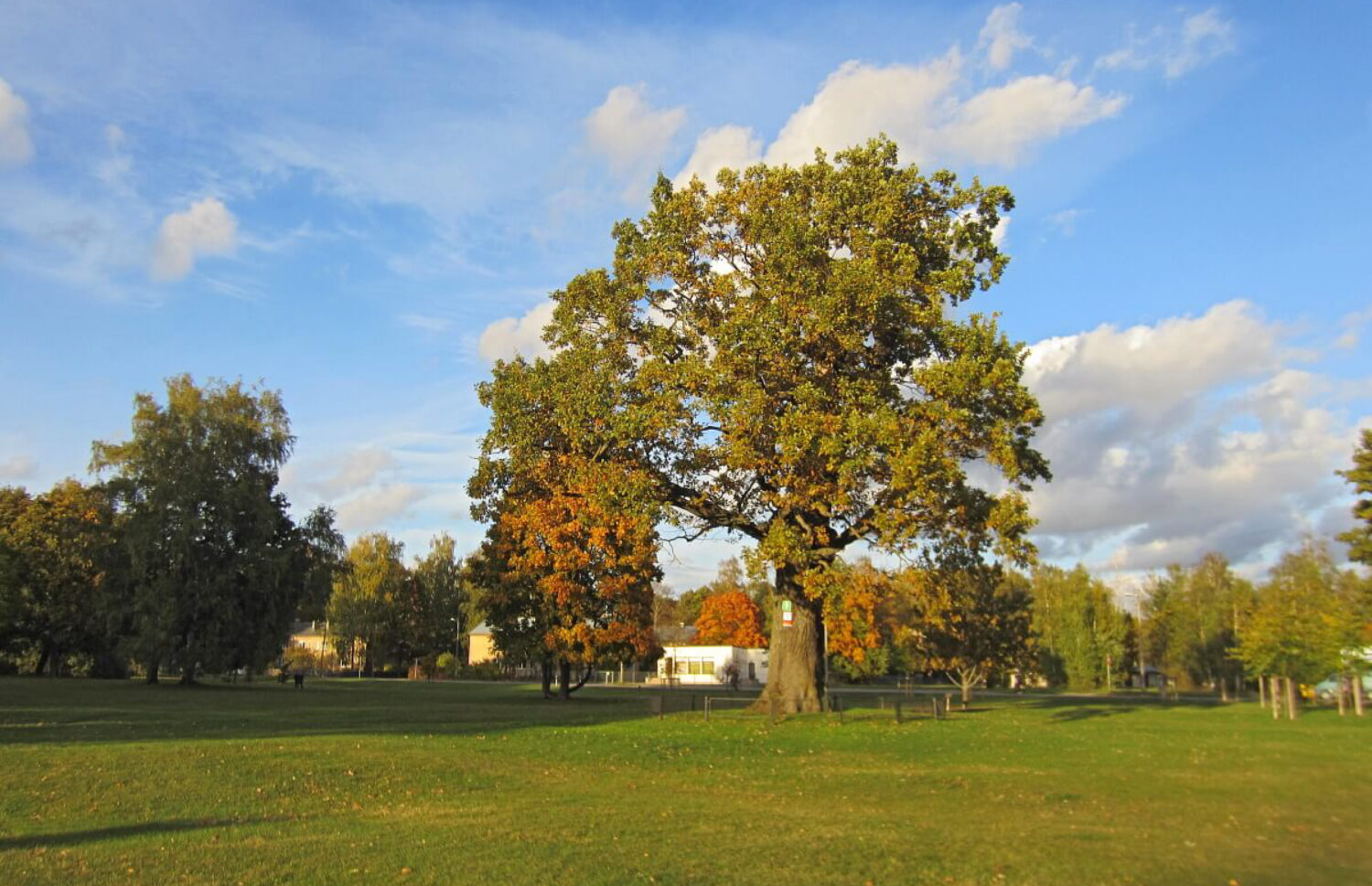 Green oasis in the city rush: 10 picturesque parks in Riga – Neighborhood