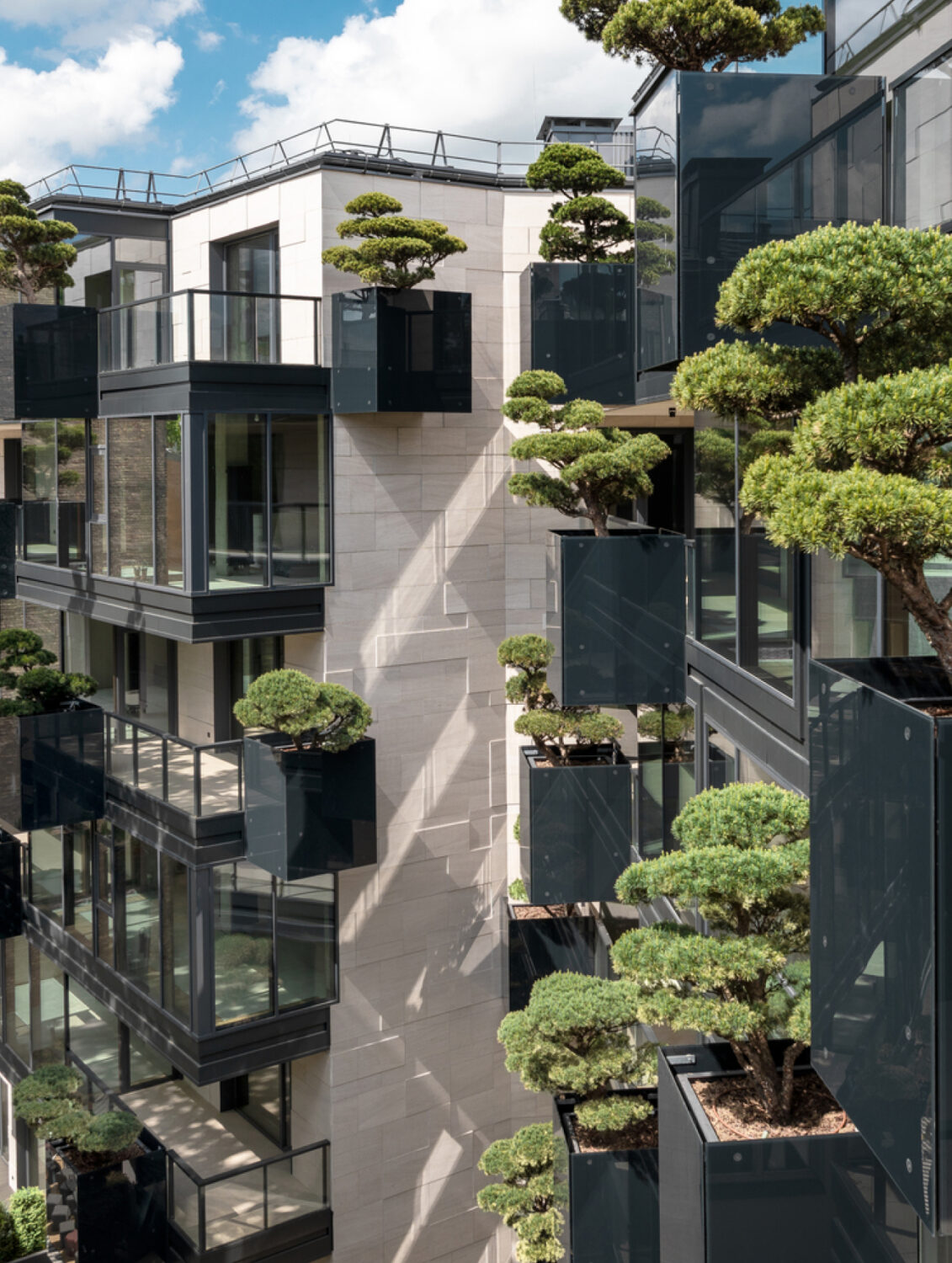 House of the Flying Trees – Neighborhood