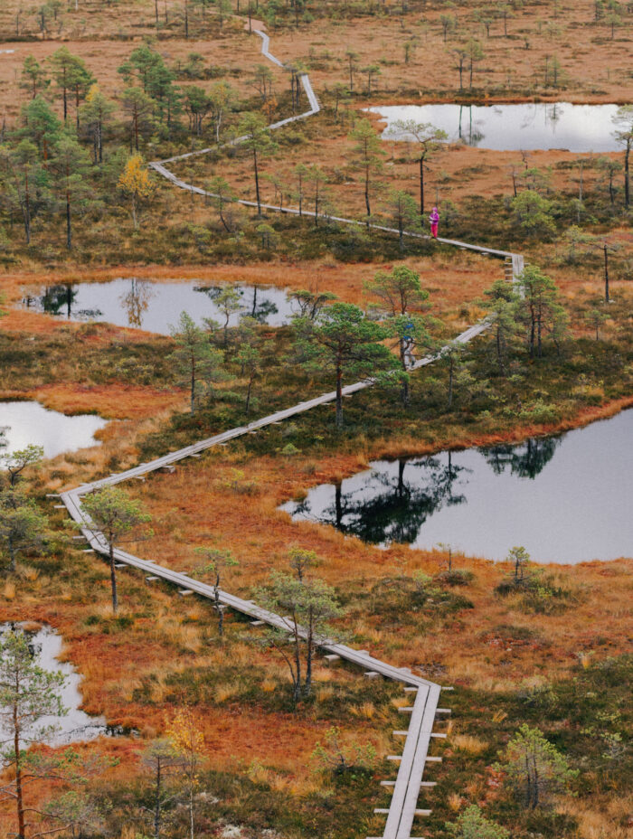 Forest Trail: hiking route E11 – Neighborhood